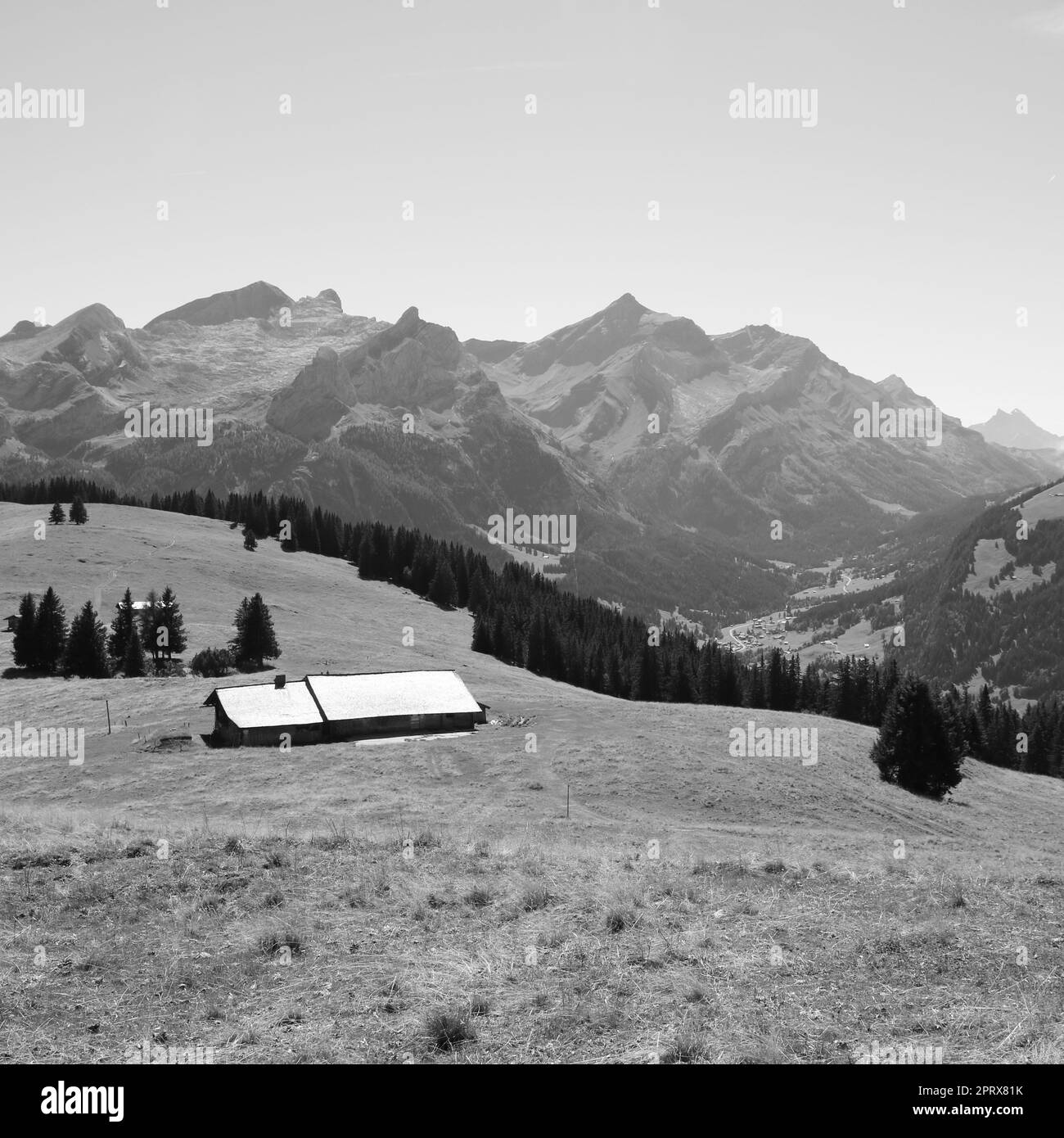 View to bernese oberland Black and White Stock Photos & Images - Alamy