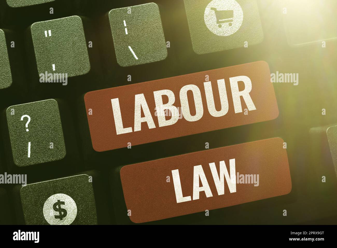 Sign displaying Labour Law, Word for Rules implemented by the state ...