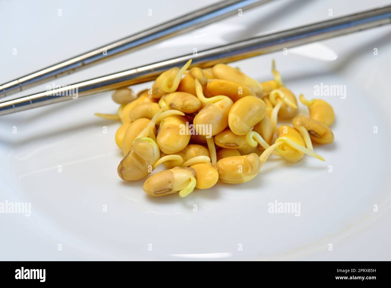 Yellow soybean sprouts hi-res stock photography and images - Alamy