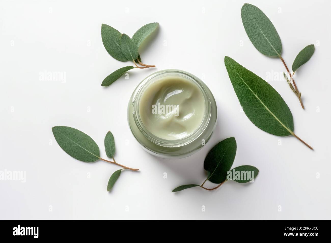 Natural organic cream jar with eucalyptus leaves on white background ...