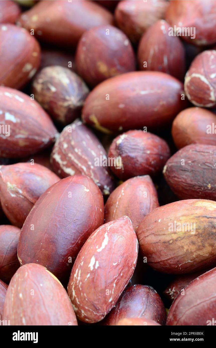 Peanut. A lot of small yellow nuts with brown peel. Background texture ...