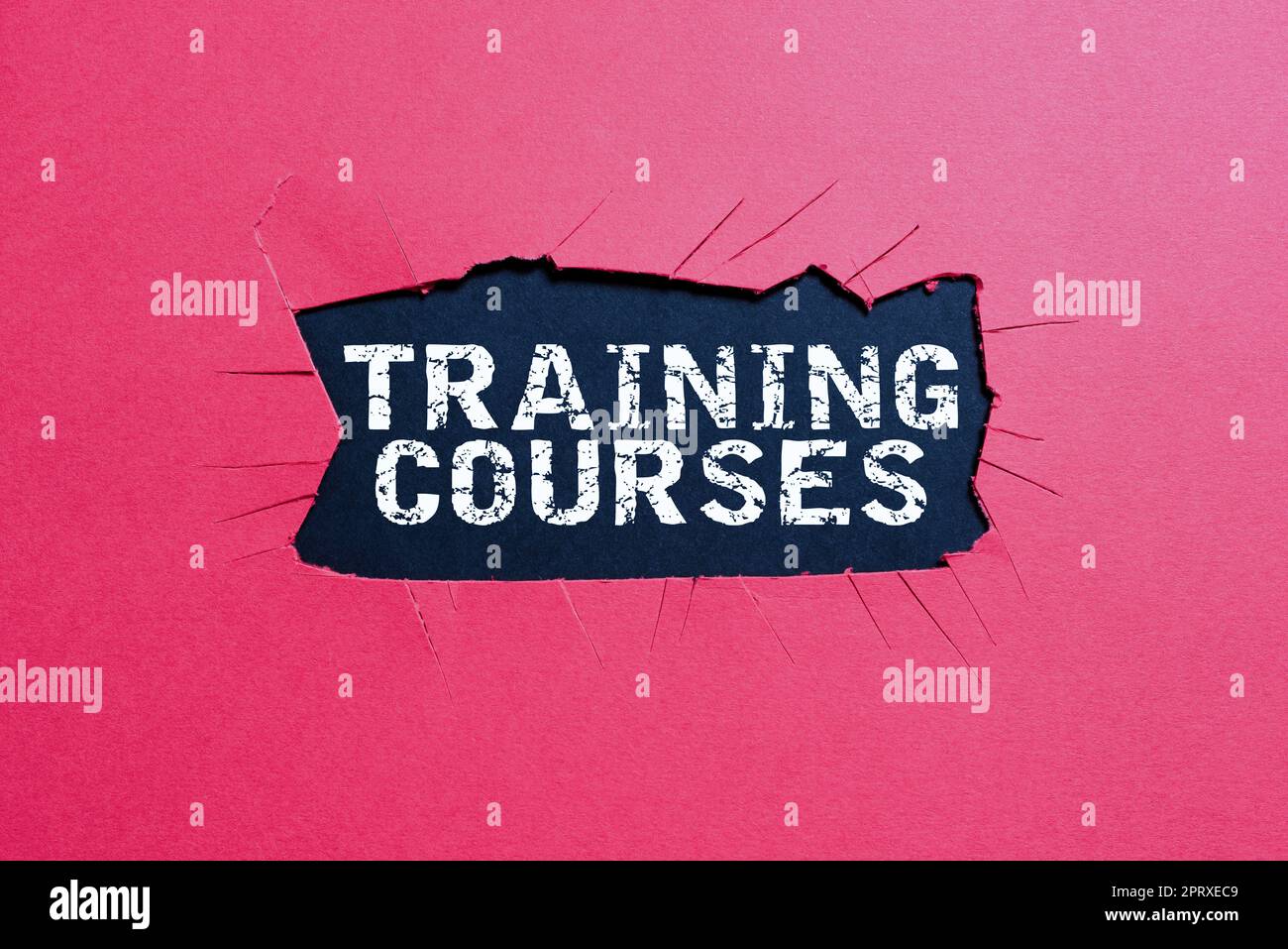 Conceptual display Training Courses, Business overview lessons to teach the skills and knowledge ...