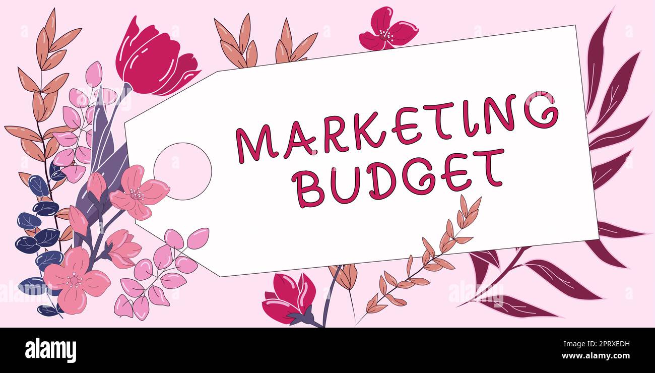 Text caption presenting Marketing Budget, Word Written on process of ...