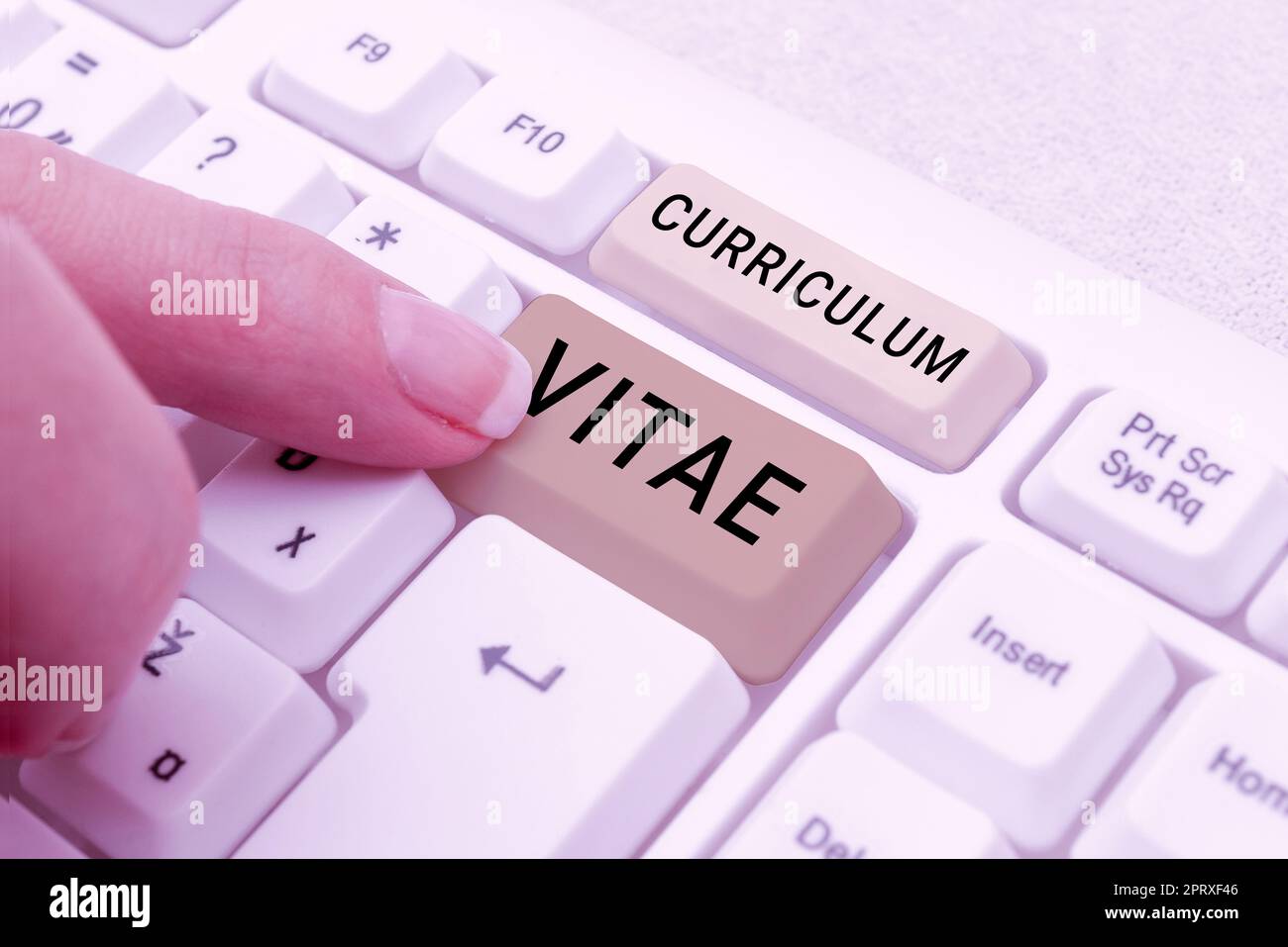 Writing displaying text Curriculum Vitae, Business idea customers ...
