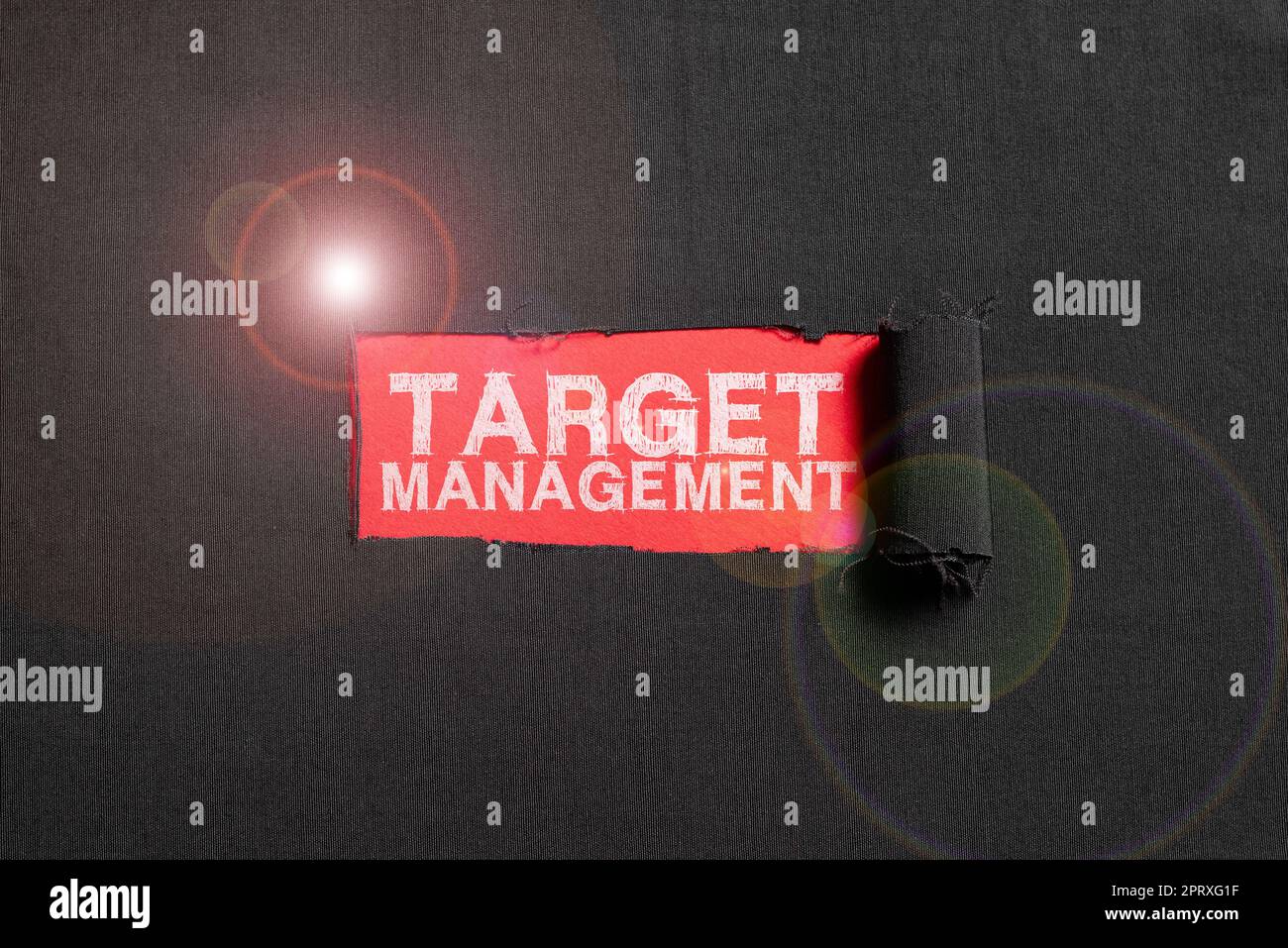 Sign displaying Target Management, Business idea nurturing the ...