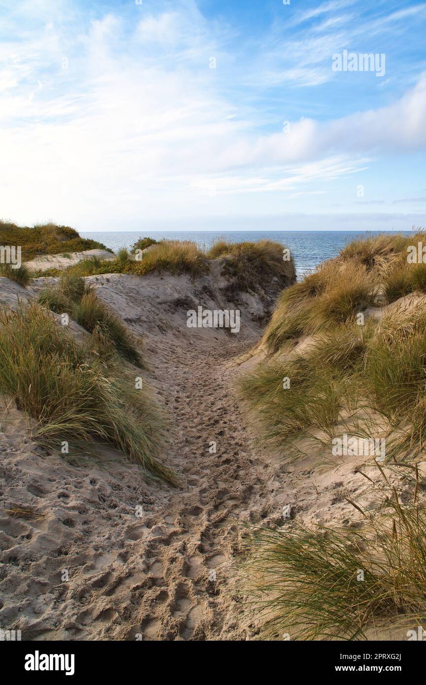 Beach crossing in Denmark by the sea. Dunes, sand water and clouds on ...