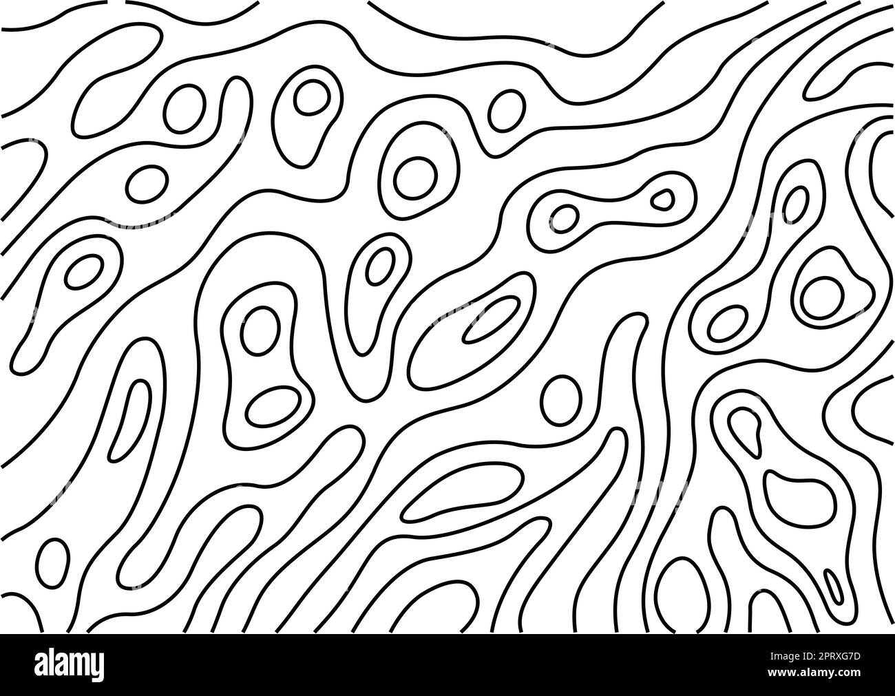 Abstract vector topographic map with isolines on white background Stock ...