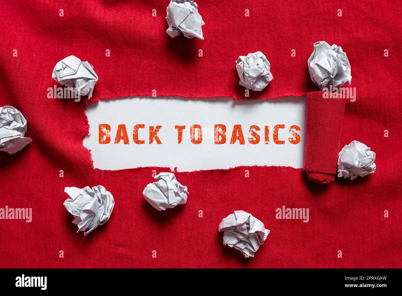 Back To Basics Business