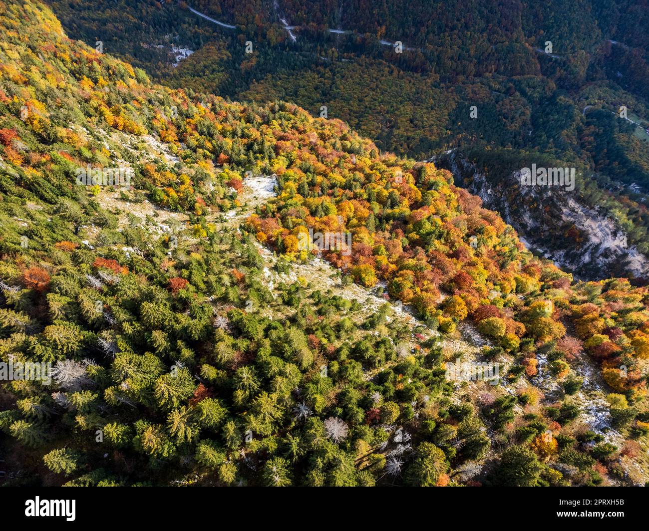 Autumn on the Montasio plateau. Crowned by mountains and colors Stock ...