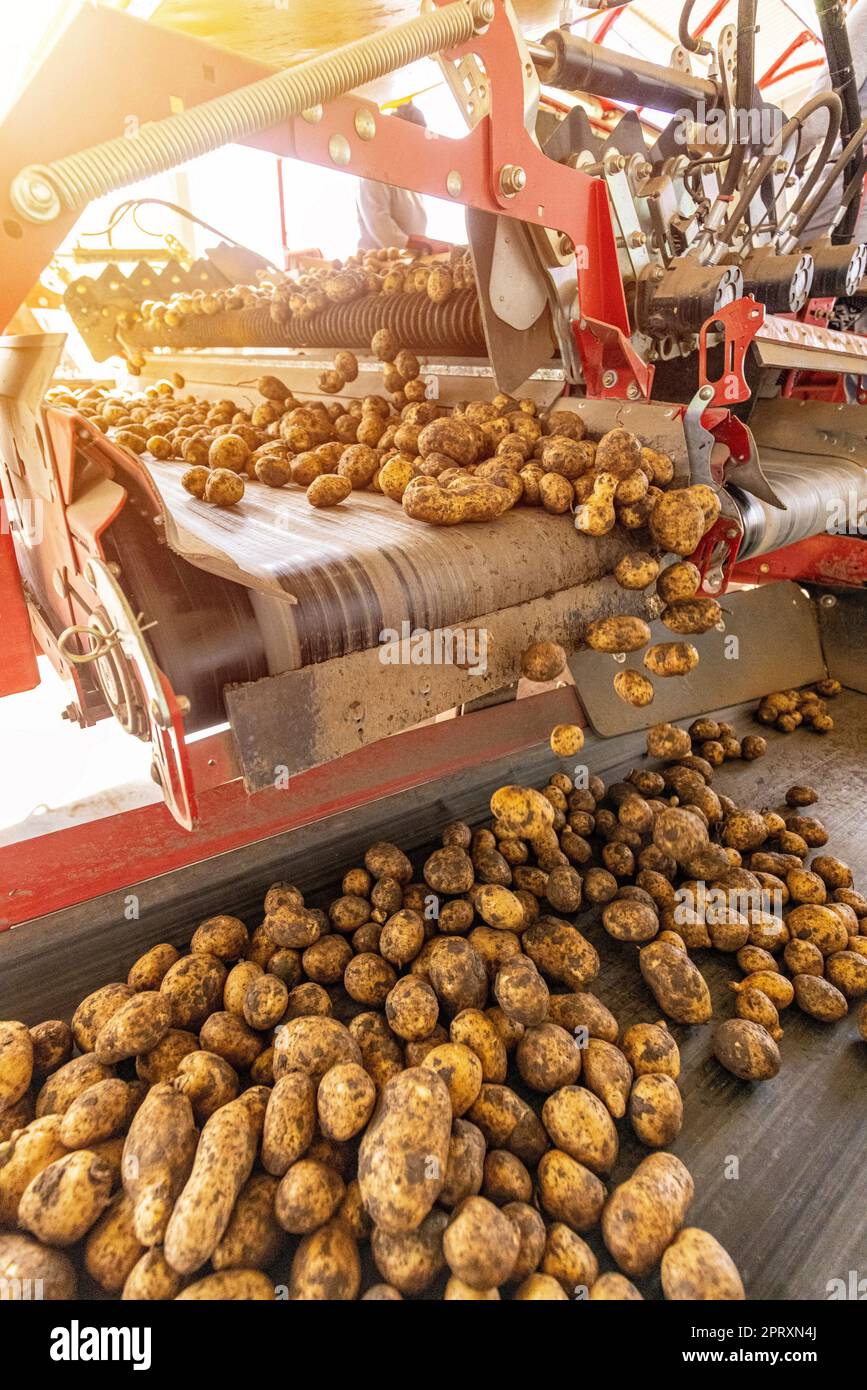 Modern automated production for sorting, processing and storage of ...