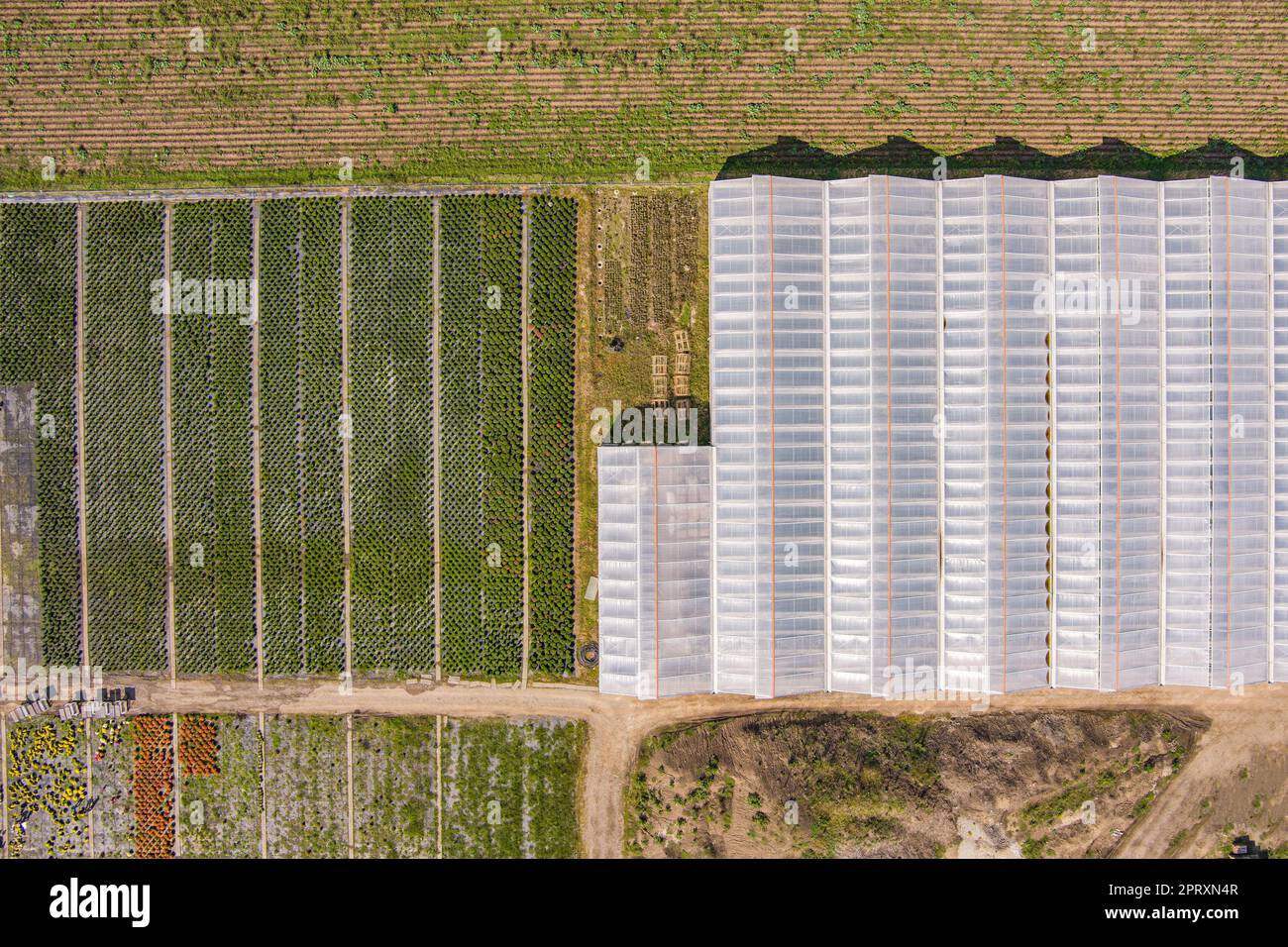 Aerial view of greenhouses and agricultural plant production Stock ...