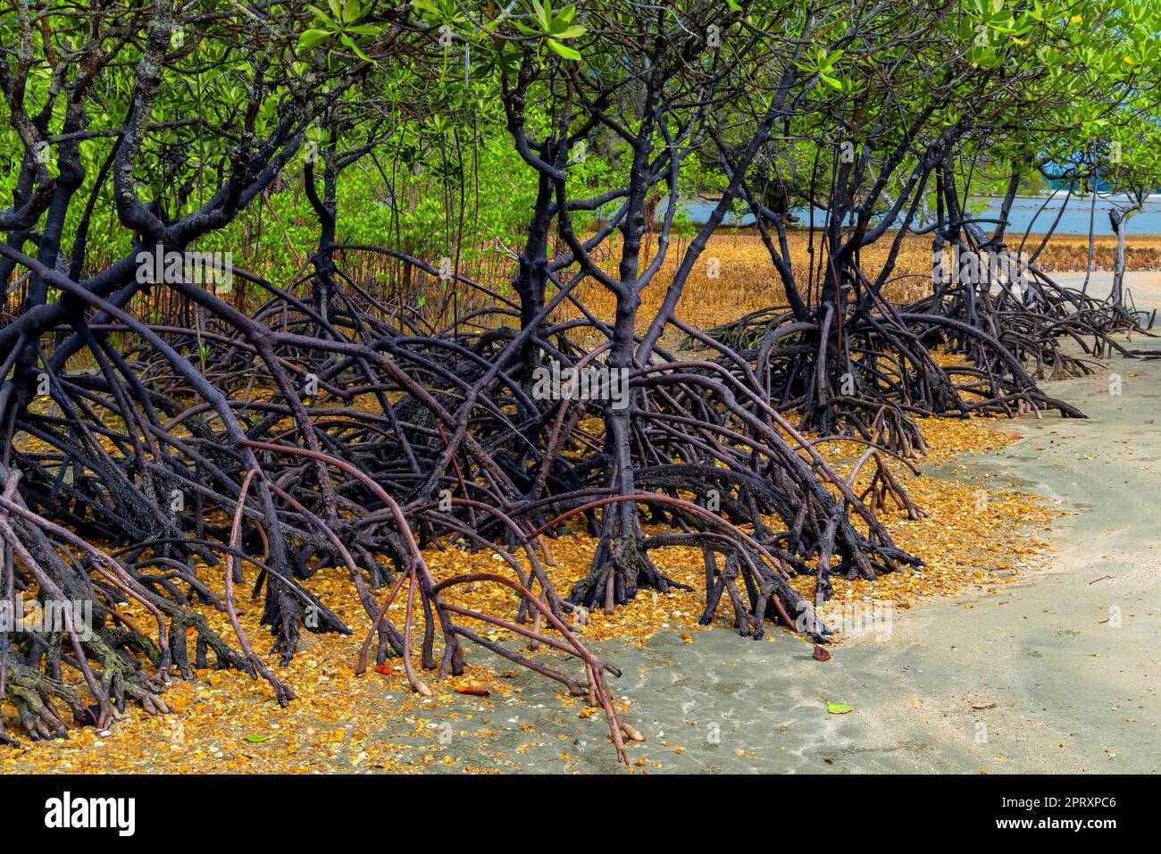 Pantai tanjung kempit hi-res stock photography and images - Alamy