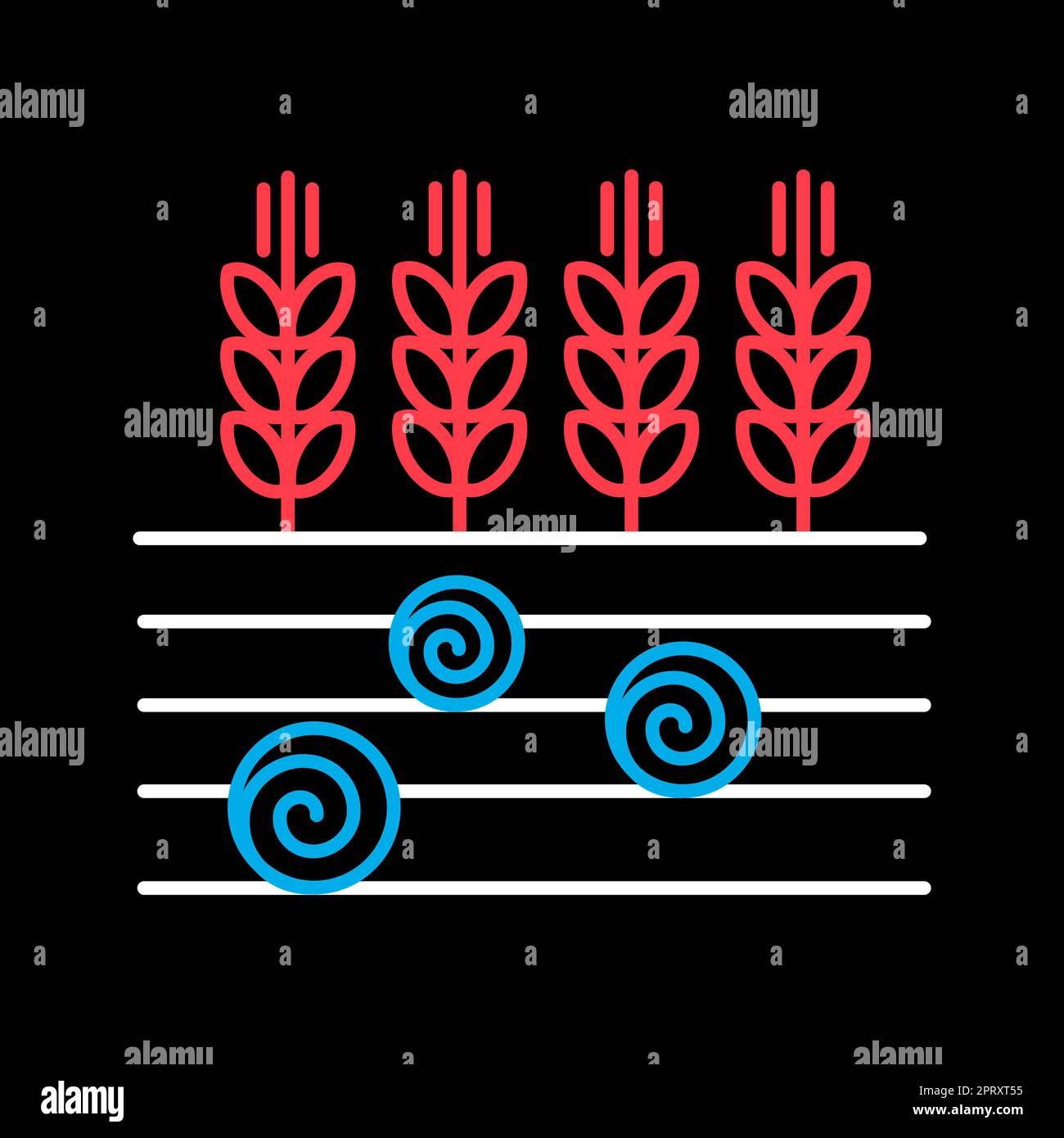 Ears of Wheat, Barley or Rye on field and round hay bales isolated on ...