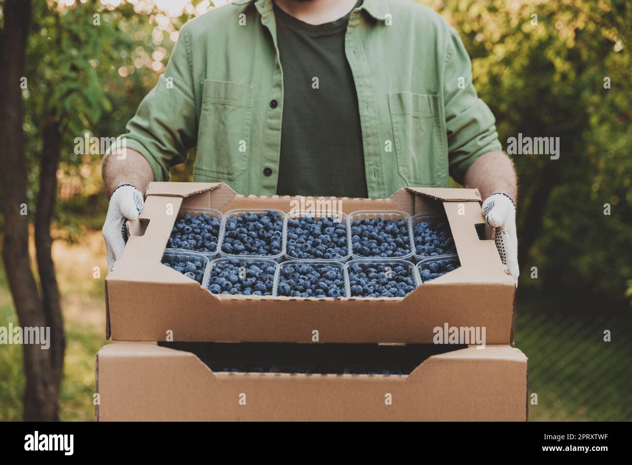Male farmer hands take and hold cardboard box from stack full of ...