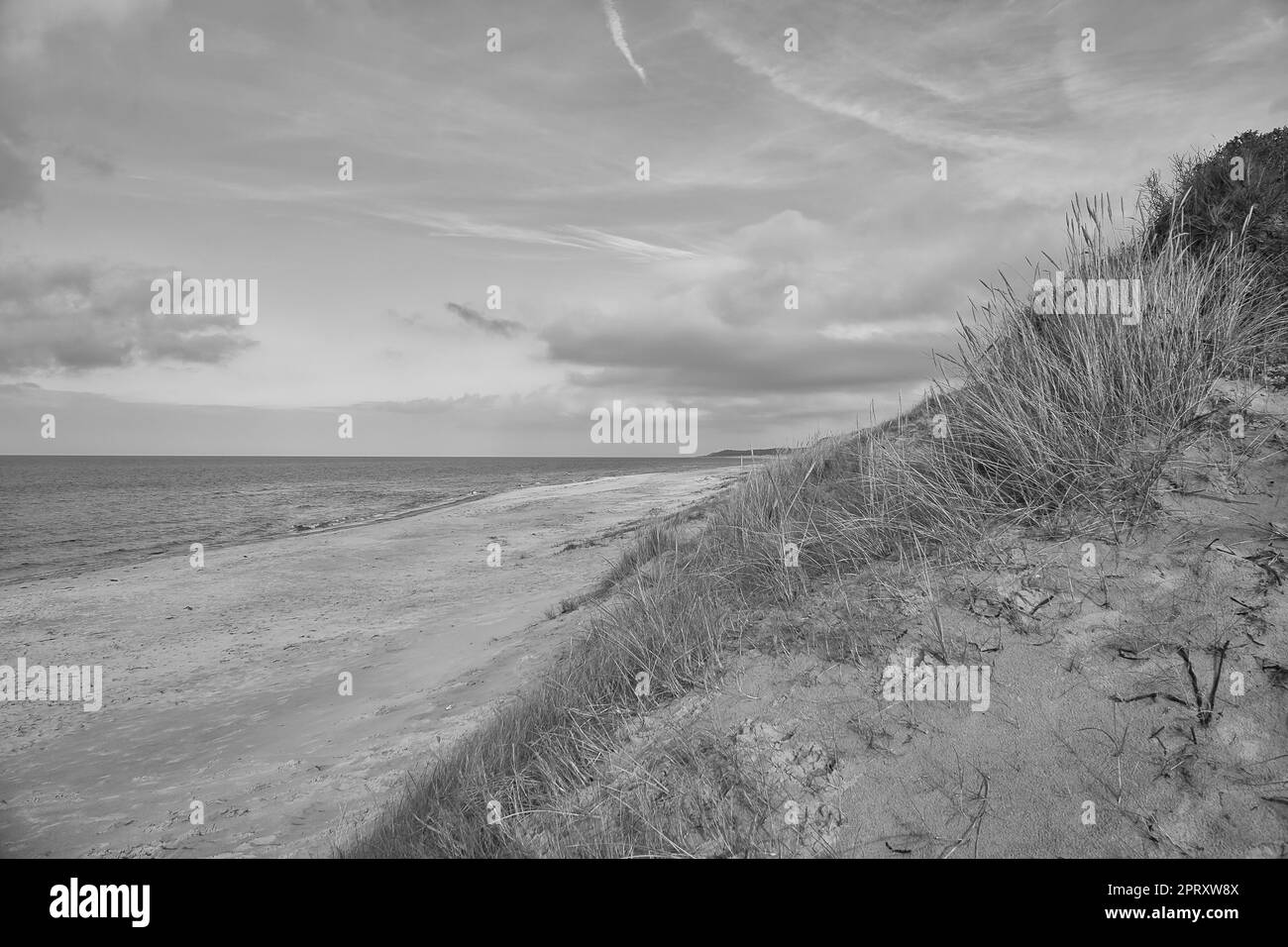 Beach crossing in Denmark by the sea taken in black and white. Dunes ...