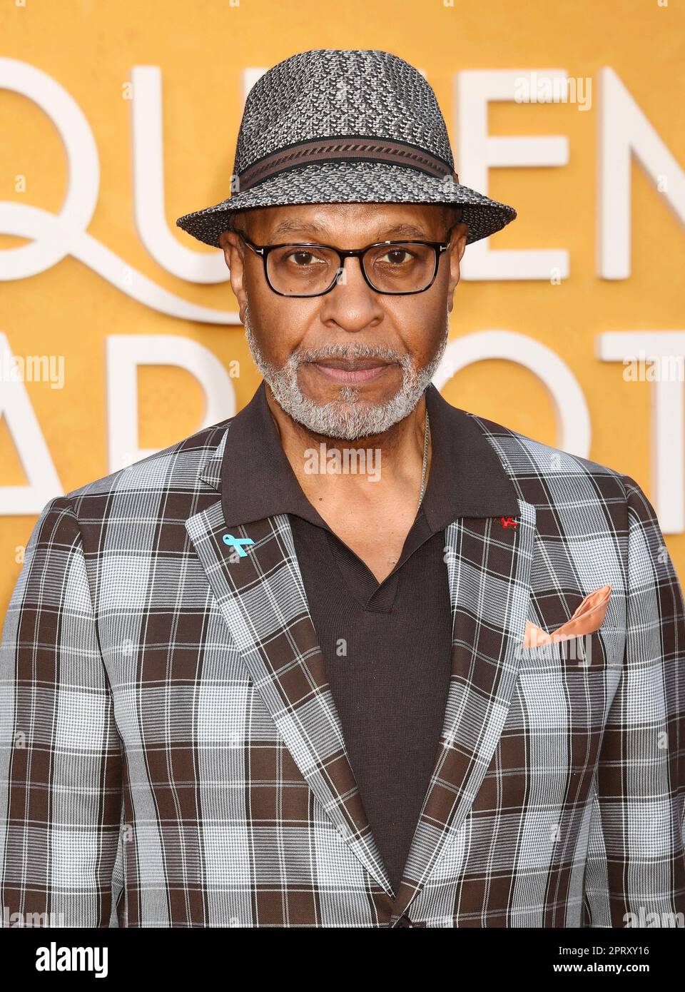 LOS ANGELES, CALIFORNIA - APRIL 26: James Pickens Jr. attends Netflix's ...