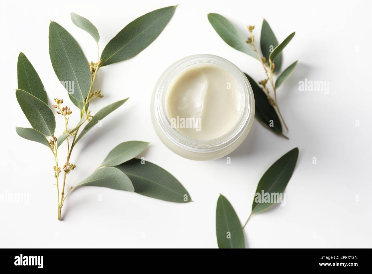Natural organic cream jar with eucalyptus leaves on white background ...