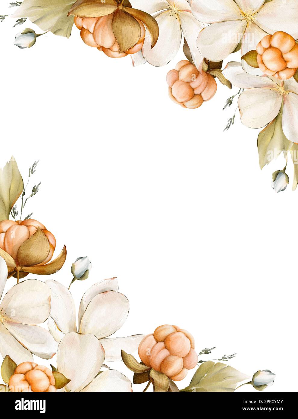 Watercolor hand painted floral frame with delicate blooming ...