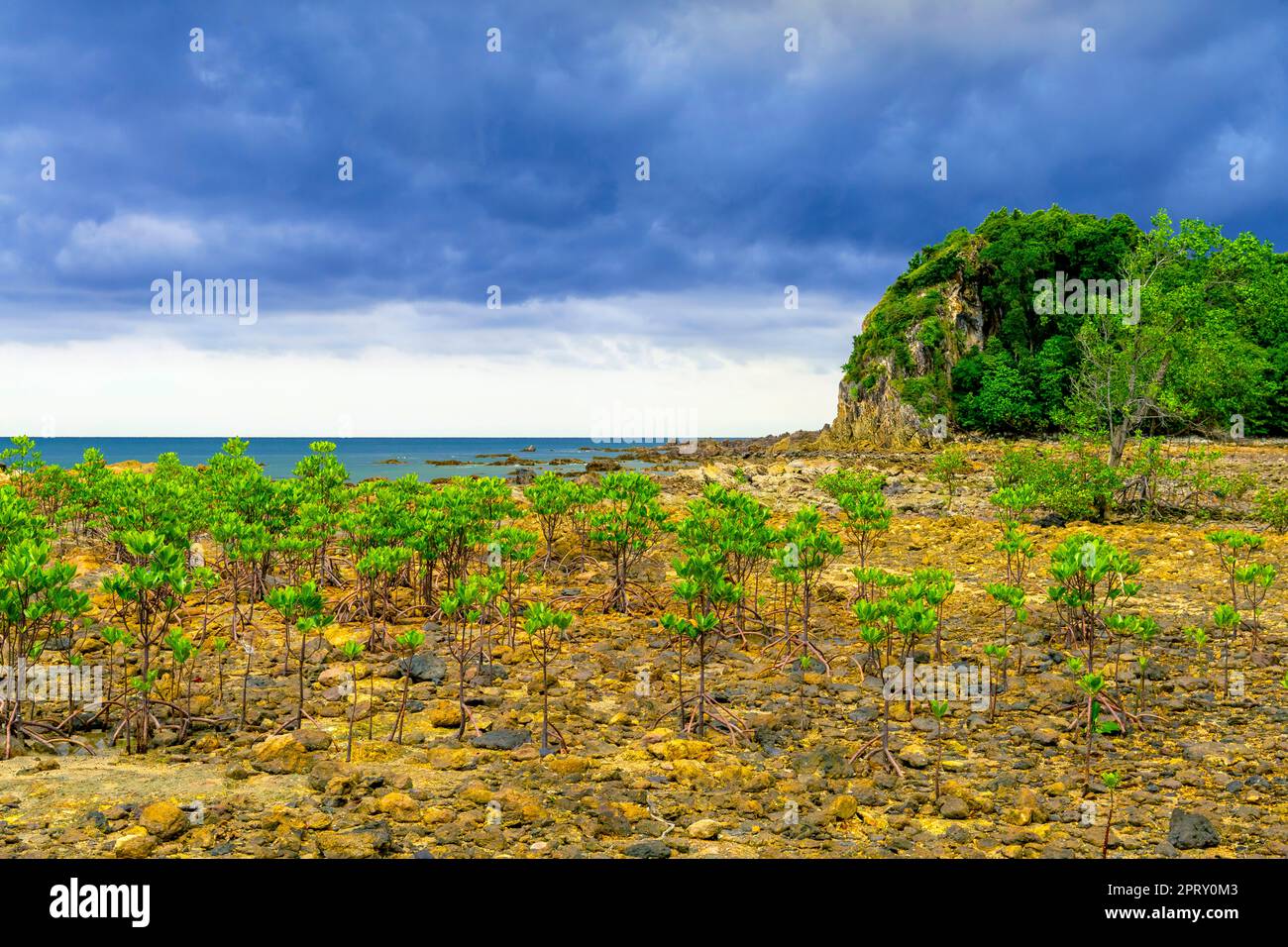 Pebble beach at Pulau Mawar; Endau, Peninsular Malaysia. Pulau Mawar is ...