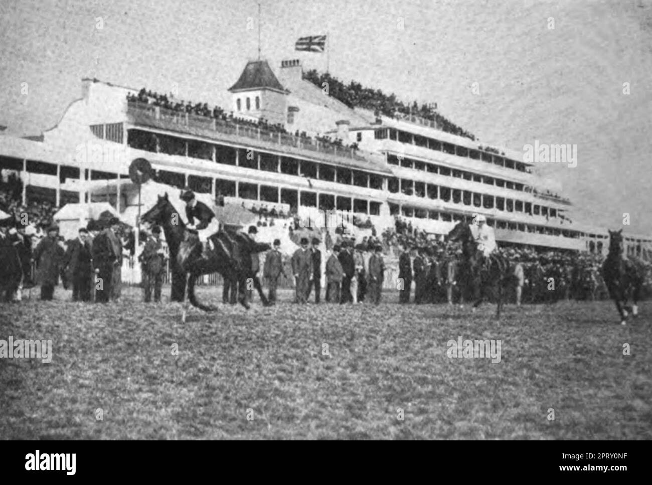 Black jester hi-res stock photography and images - Alamy
