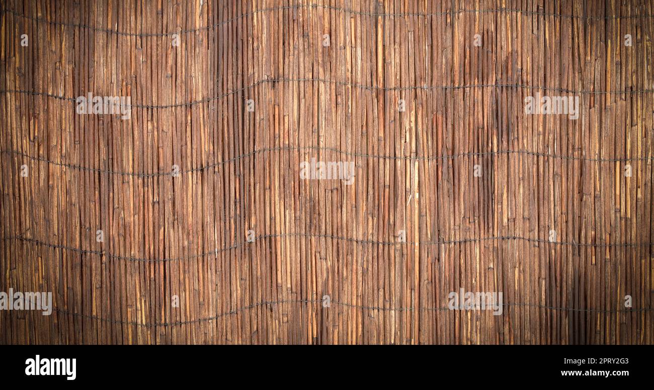 The reed wall background texture. Looks like bamboo. Close up Stock ...