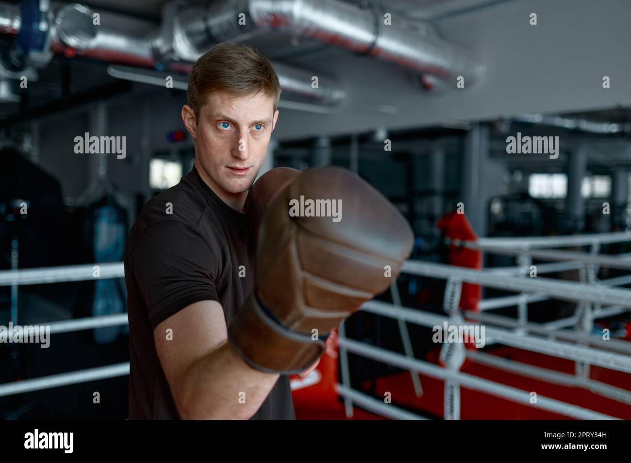 Confidence man boxer do sport training boxing exercise punching air in ...