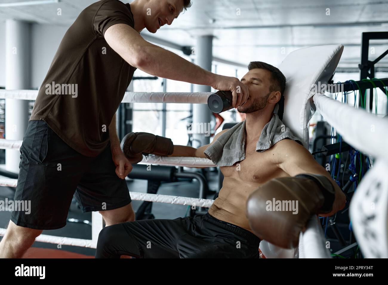 Trainer refreshing young tired boxer in ring corner using bottle of ...