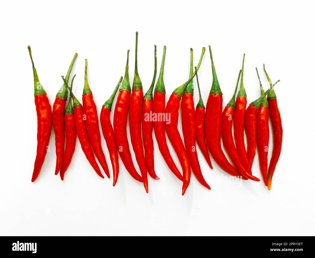 chilli isolated on white background Stock Photo - Alamy