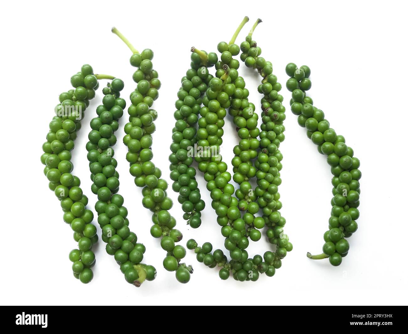 fresh green peppercorns with isolated on a white background Stock Photo ...