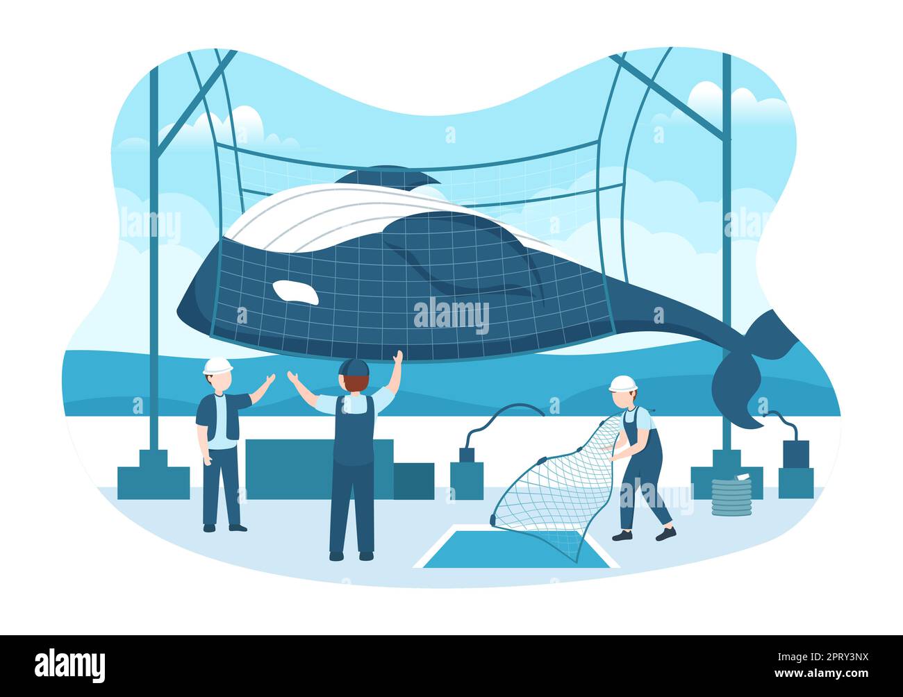 Whale Hunting with Whales Caught by Fisherman in the Middle of the Deep ...