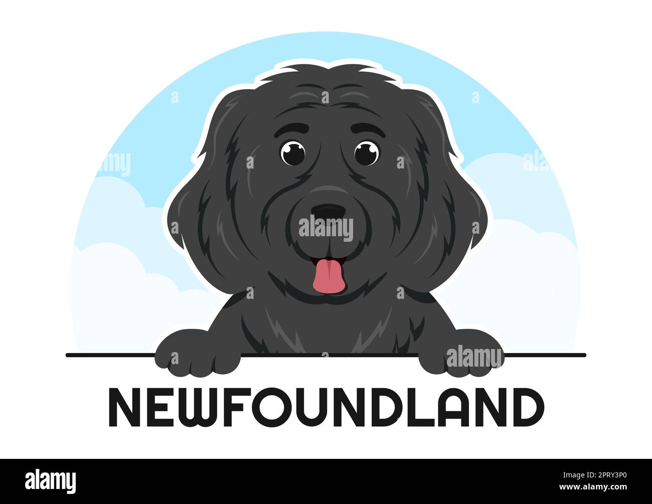 Newfoundland Dog Animals with Black, Brown or Landseer Color in Flat ...