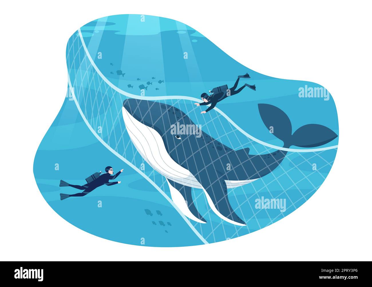 Whale Hunting with Whales Caught by Fisherman in the Middle of the Deep ...