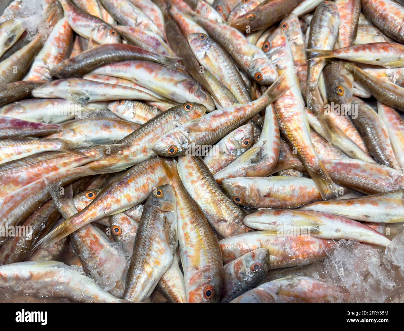 Mullet head hi-res stock photography and images - Alamy