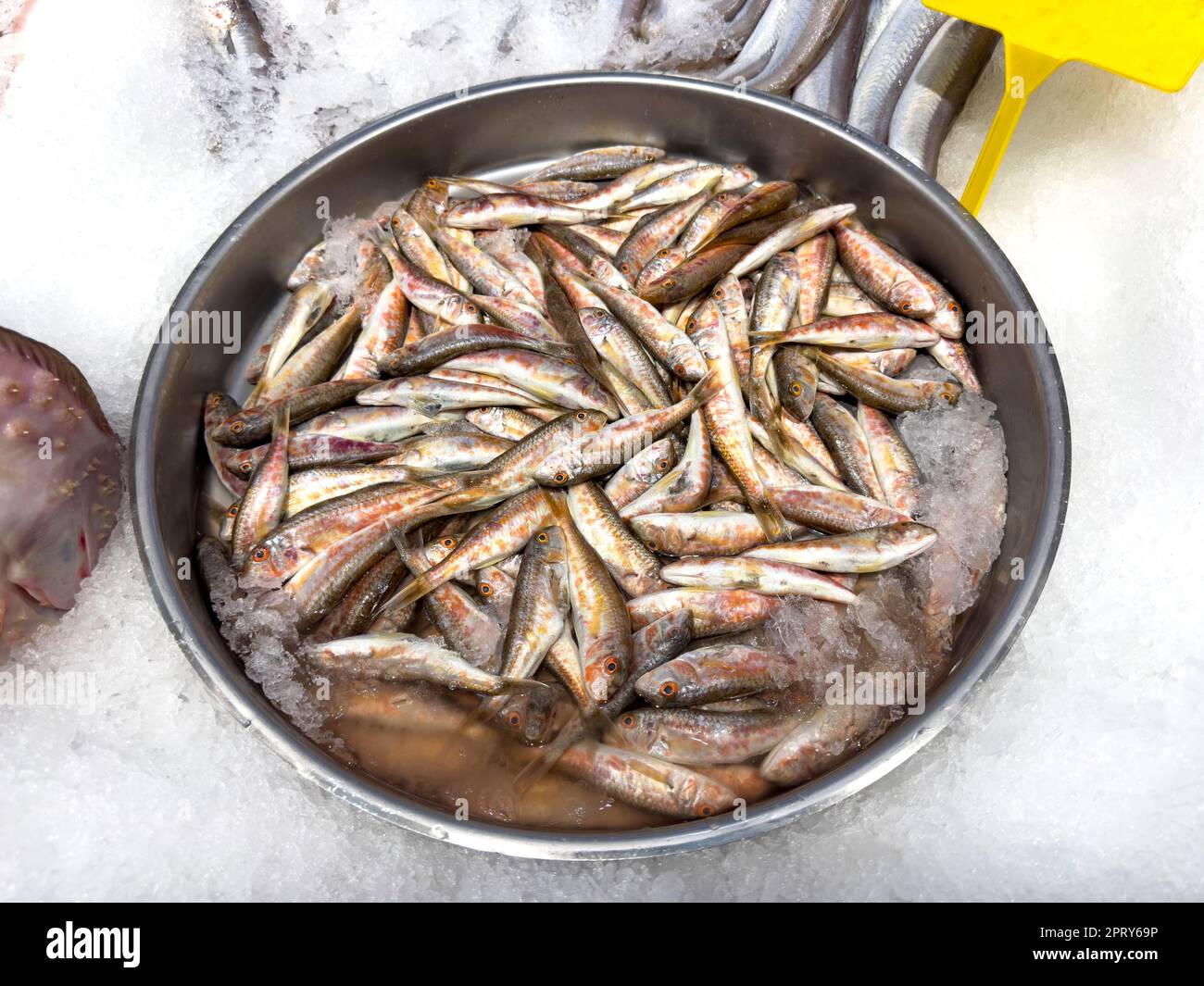Red mullet. Close-up fresh kidney beans. Local name tekir or barbun ...