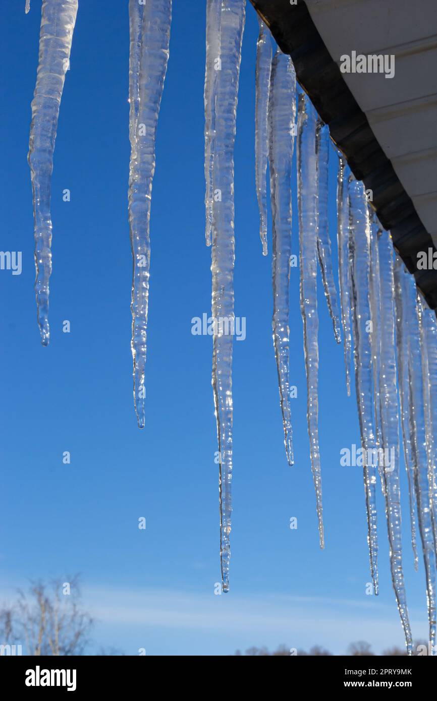 Sharp icicles and melted snow hanging from the eaves of the roof ...