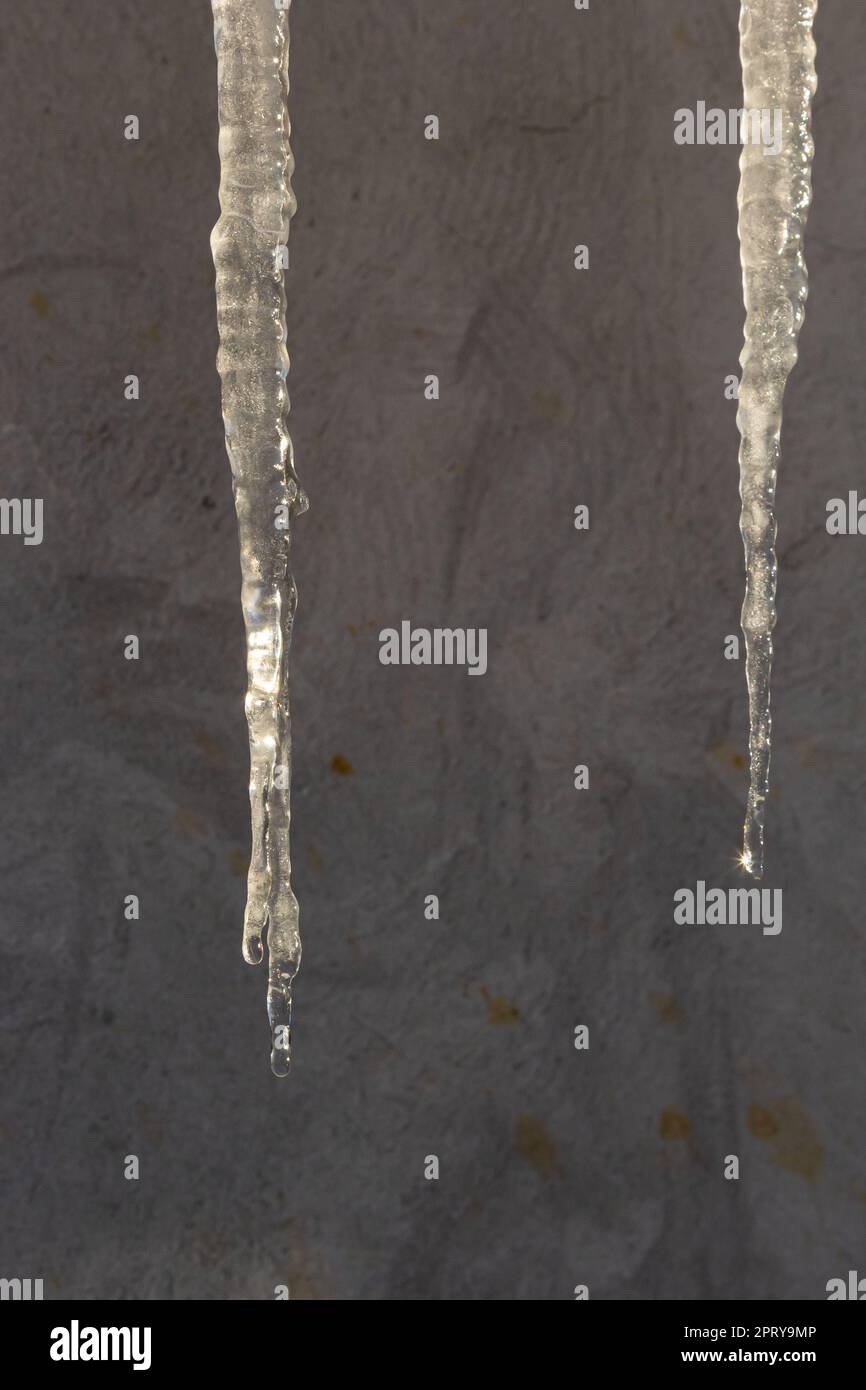 Sharp icicles and melted snow hanging from the eaves of the roof ...