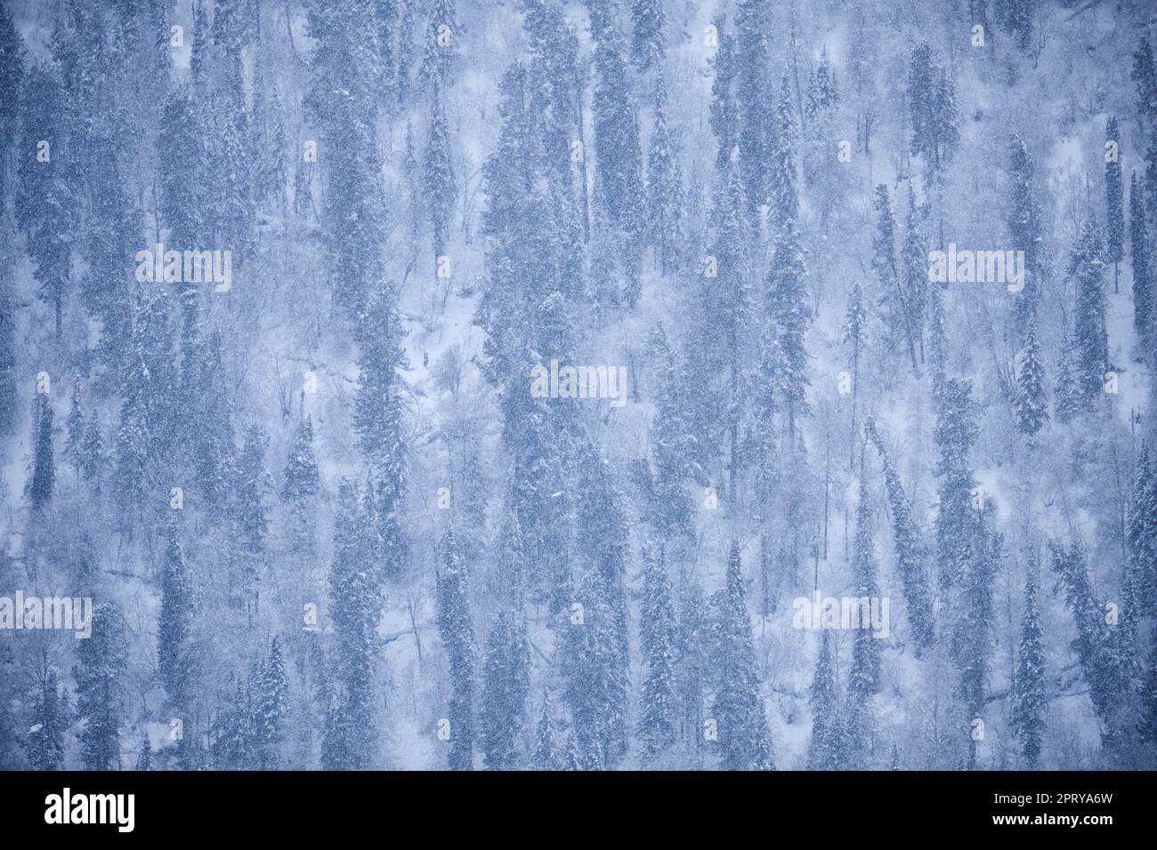 Snowfall crown hi-res stock photography and images - Alamy