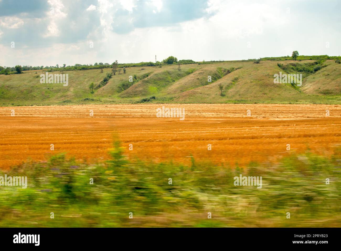 Landscape with hills, sloping wheat field and green field grass blurred ...