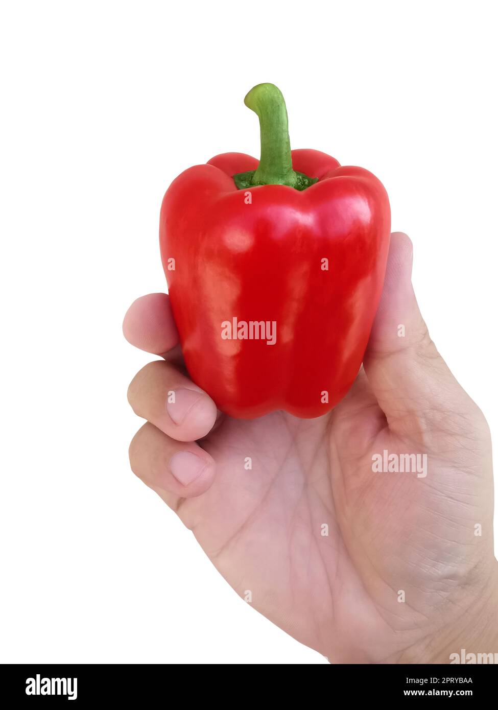 hand holding red Bell Pepper isolated on white background Stock Photo ...
