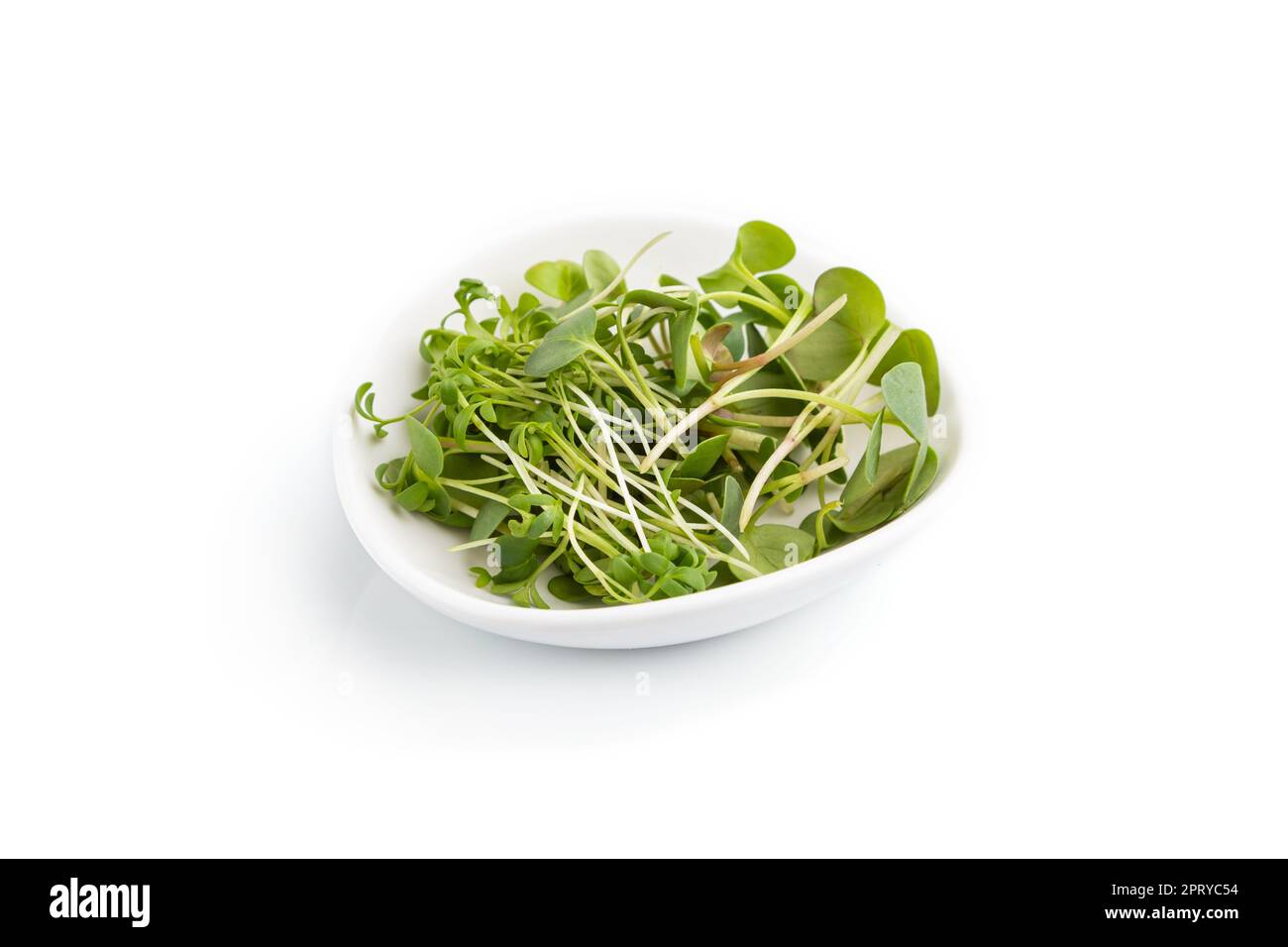 Ceramic plate with microgreen sprouts of radish and cress isolated on ...