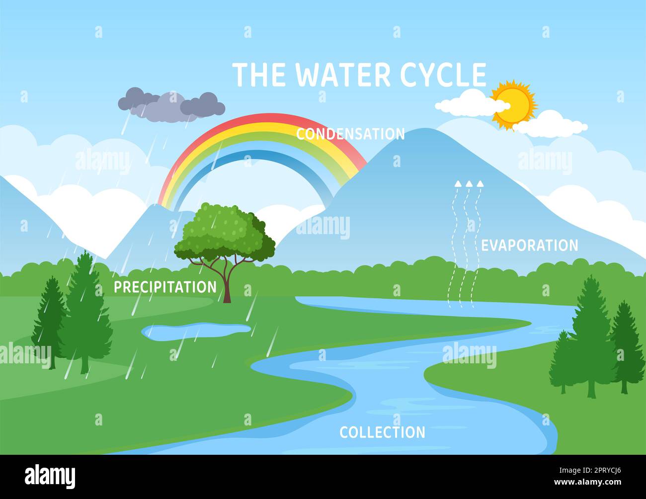 Water Cycle Condensation