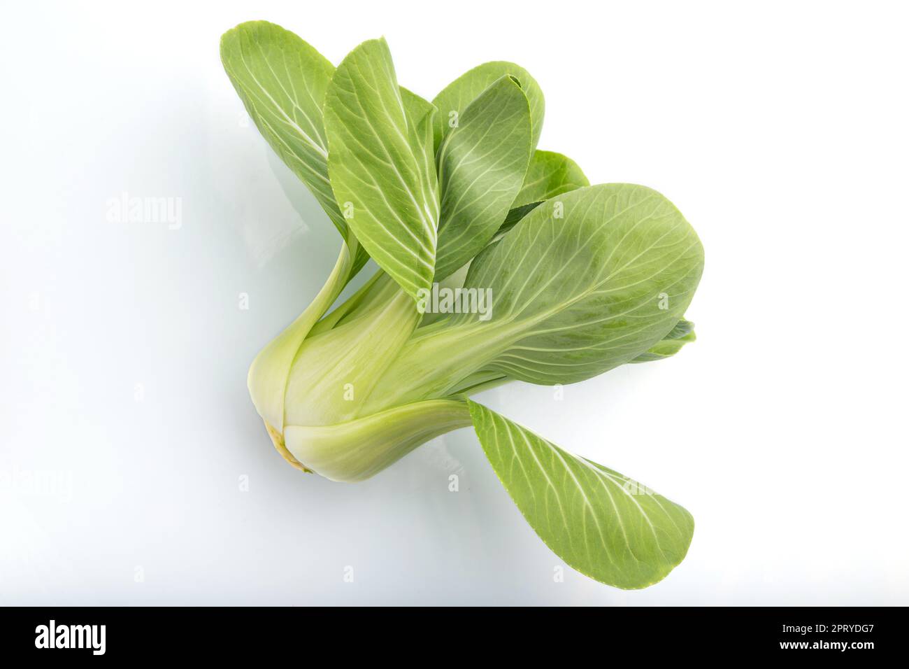 Fresh green bok choy or pac choi chinese cabbage isolated white ...