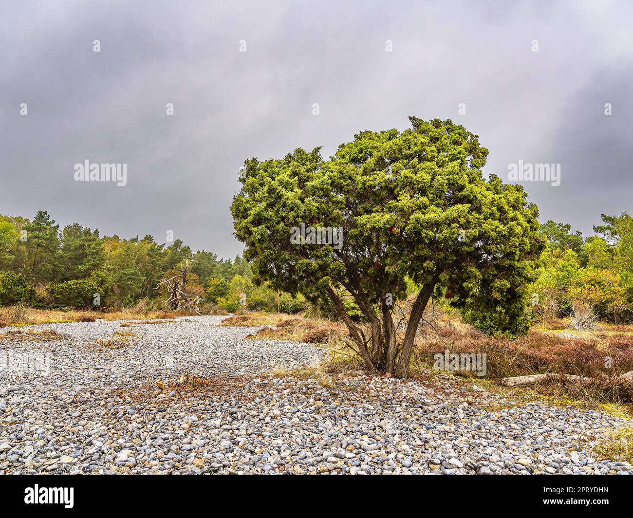 Flintstone landscape hi-res stock photography and images - Alamy