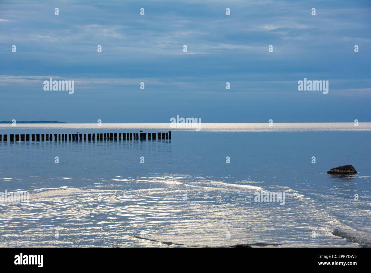 Wooden groynes in the still sea, on the Baltic Sea coast with blue sky ...