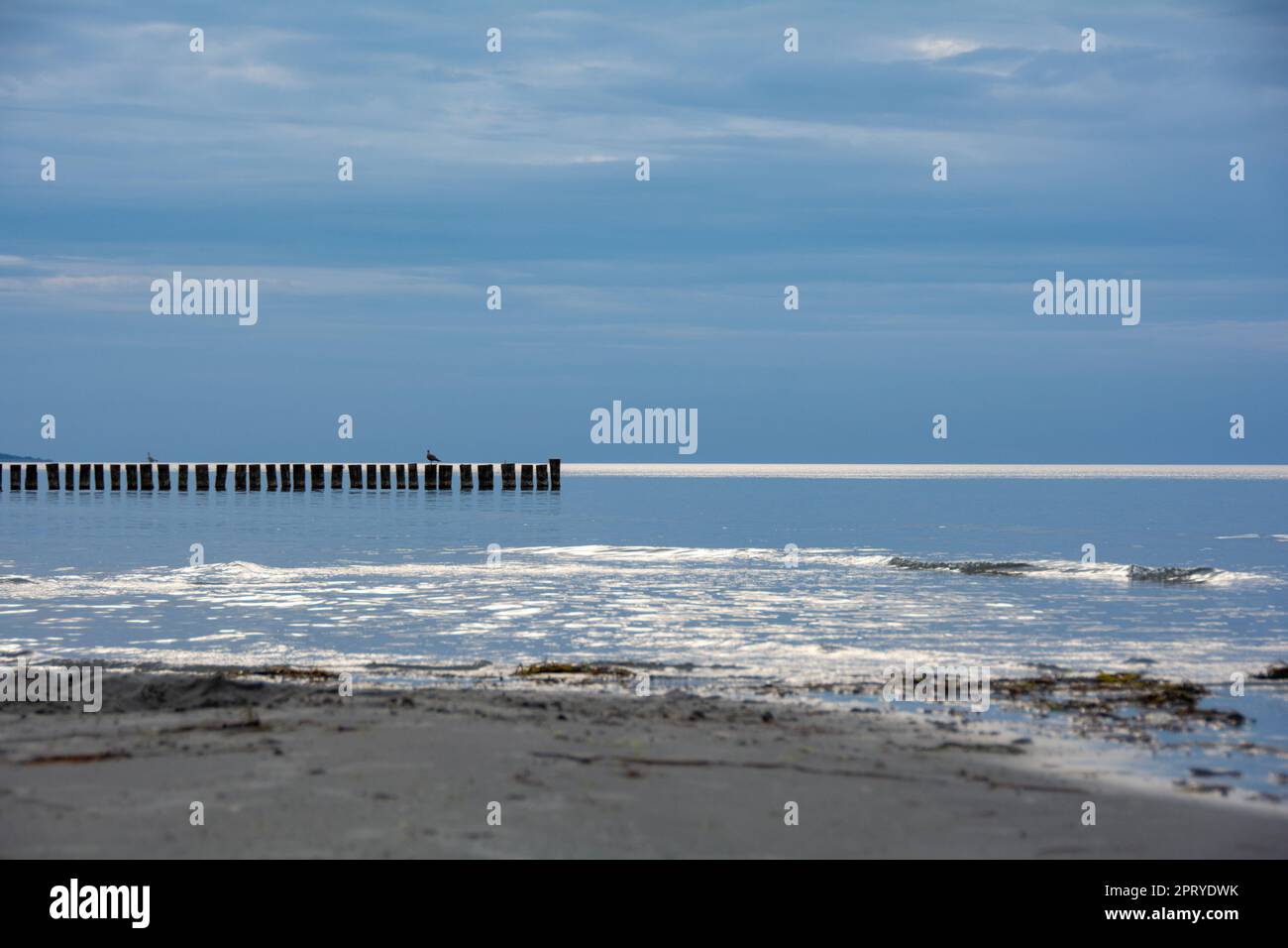 Wooden groynes in the still sea, on the Baltic Sea coast with blue sky ...