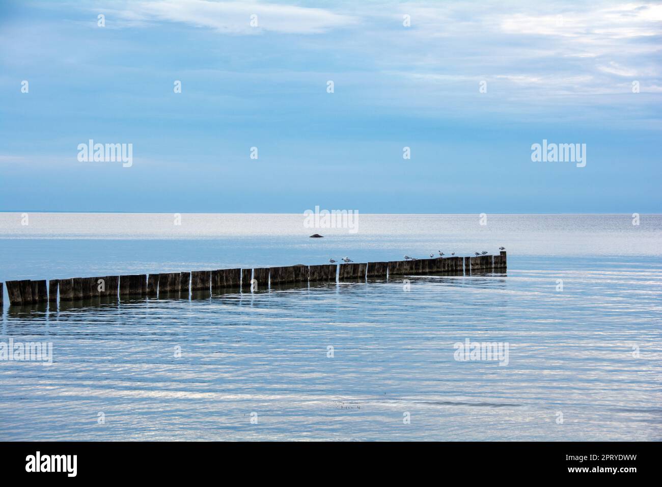 Wooden groynes in the still sea, on the Baltic Sea coast with blue sky ...