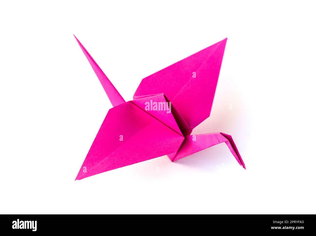 Pink paper crane origami isolated on a blank white background Stock ...