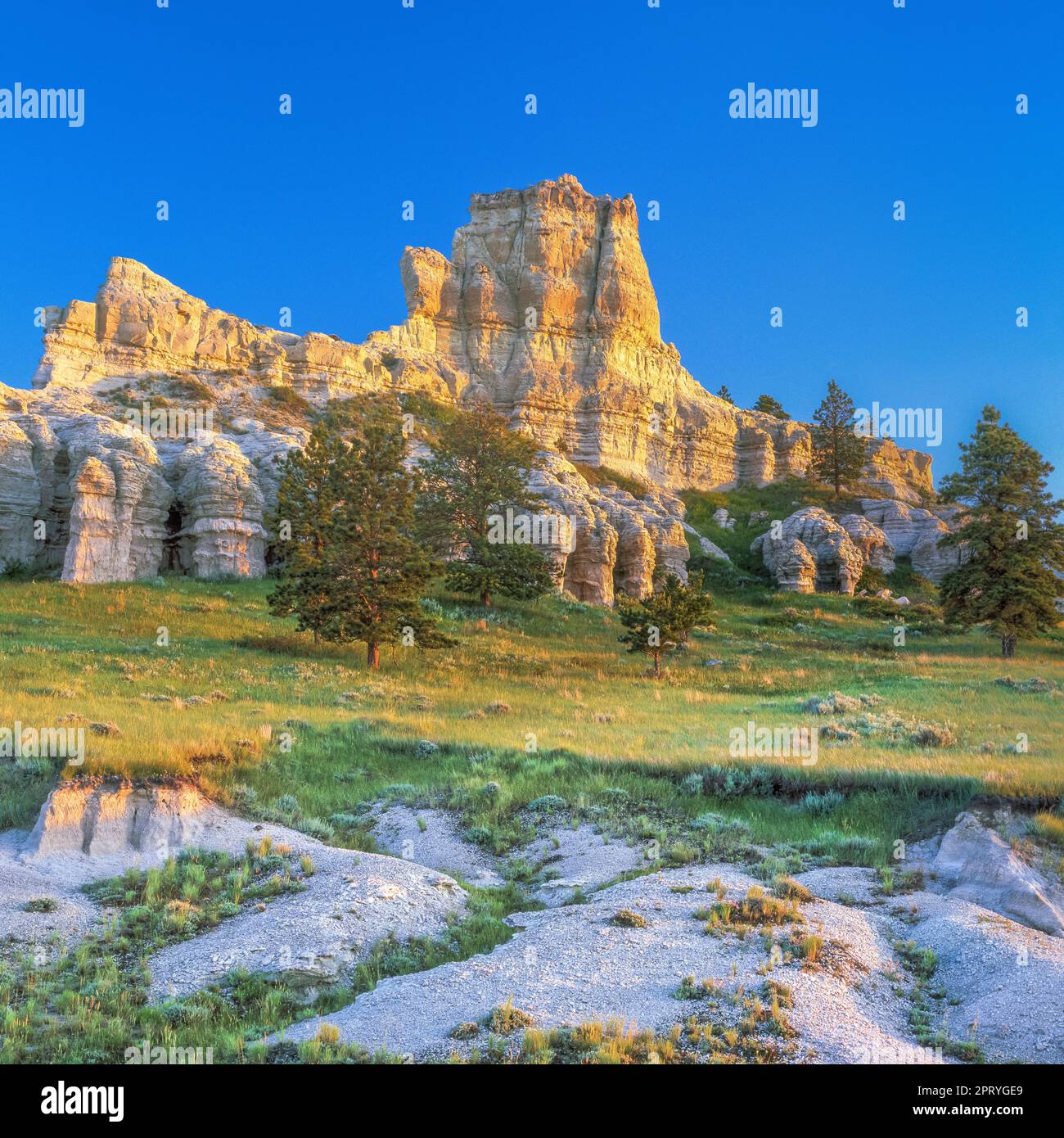 capitol rock in custer national forest near ekalaka, montana Stock ...