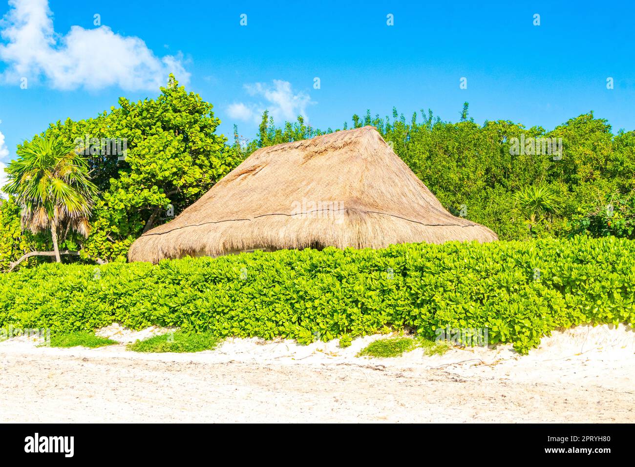 Palapa roof and resort in tropical beach in Playa del Carmen Quintana ...