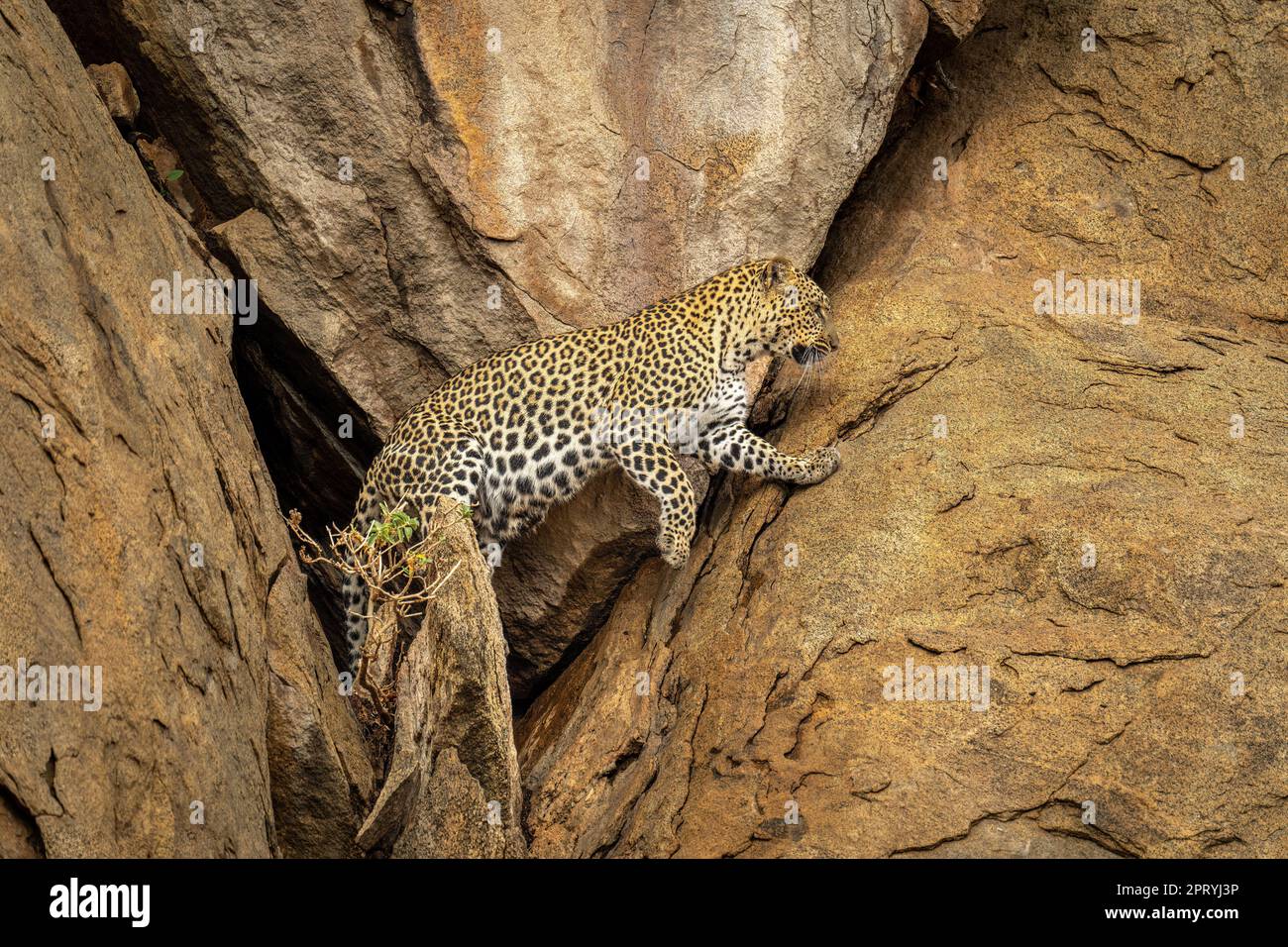 Cave in cliff hi-res stock photography and images - Alamy